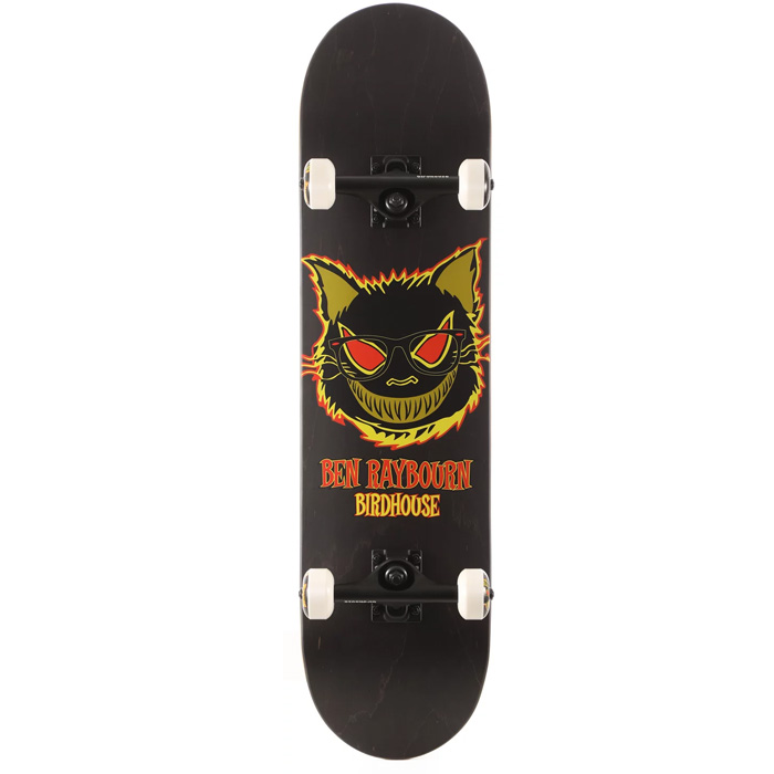 Ben Raybourn Black Cat Complete Skateboard | Salty Peaks Snowboard Shop