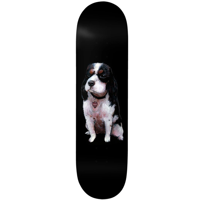 Lizard King Shredder Skateboard Deck – Salty Peaks Snowboard Shop